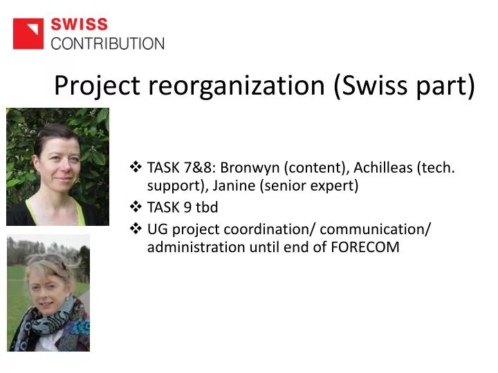 PPT - Project reorganization (Swiss part ) PowerPoint Presentation ...