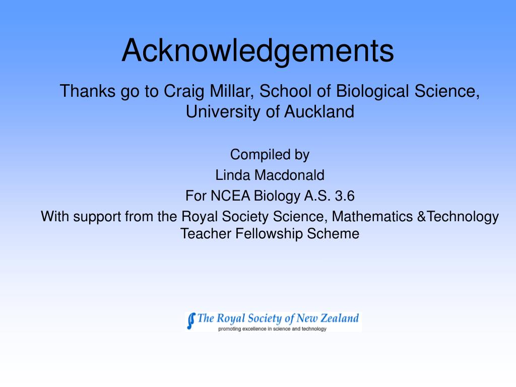 PPT - Gel Electrophoresis of DNA PowerPoint Presentation, free download ...