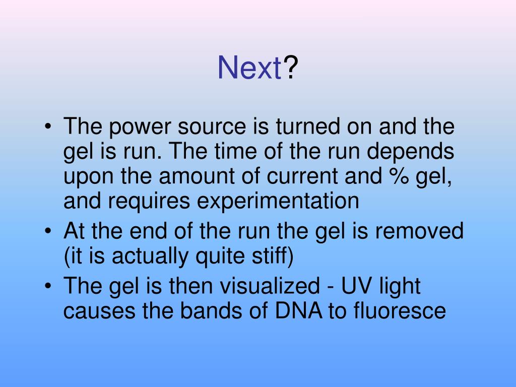 PPT - Gel Electrophoresis of DNA PowerPoint Presentation, free download ...
