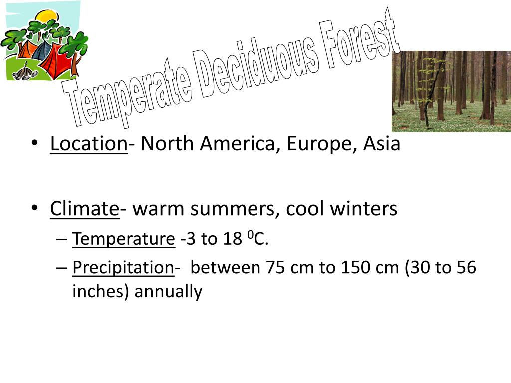 PPT - Location - North America, Europe, Asia Climate - warm summers ...