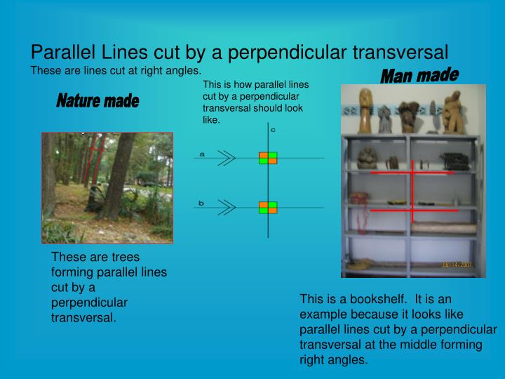 PPT - GEOMETRY SCAVENGER HUNT PowerPoint Presentation - ID:3147939