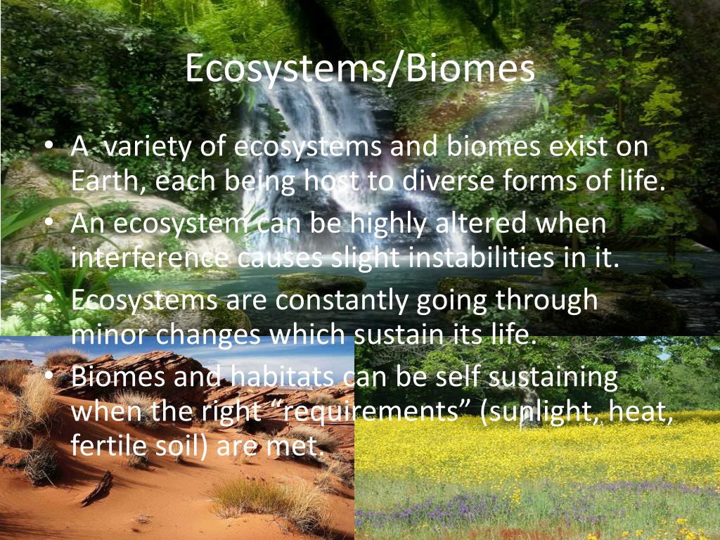 PPT - Ch.55/Ch.56 Ecosystems, Conservation Biology, and Restoration ...