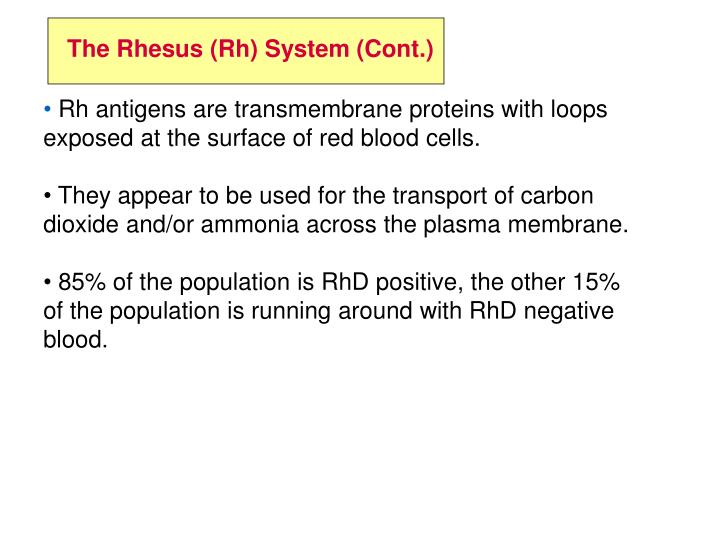 PPT - Blood groups and Rhesus factor PowerPoint Presentation - ID:3148475