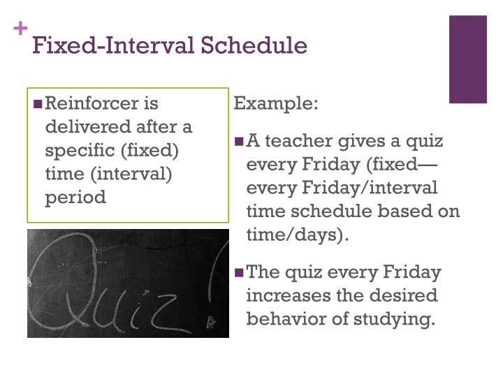 PPT - Operant Conditioning PowerPoint Presentation - ID:3148648
