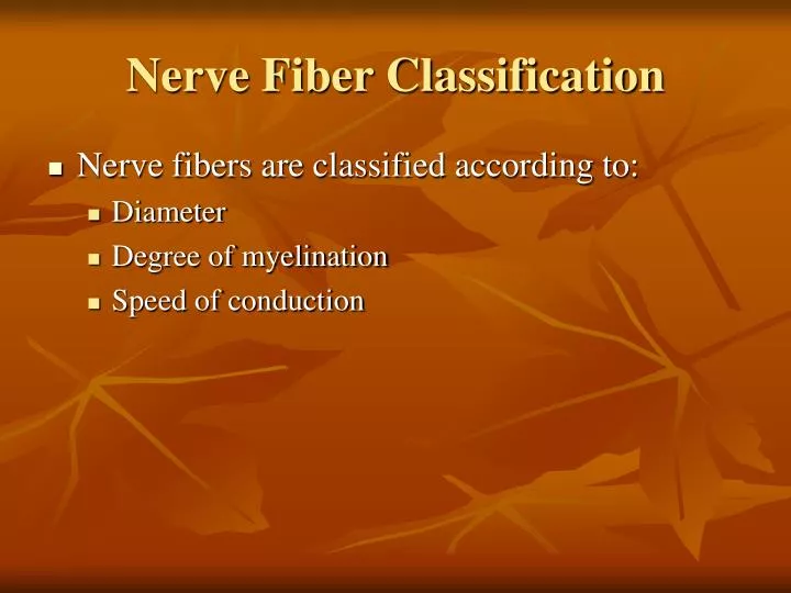 PPT - Nerve Fiber Classification PowerPoint Presentation, free download ...