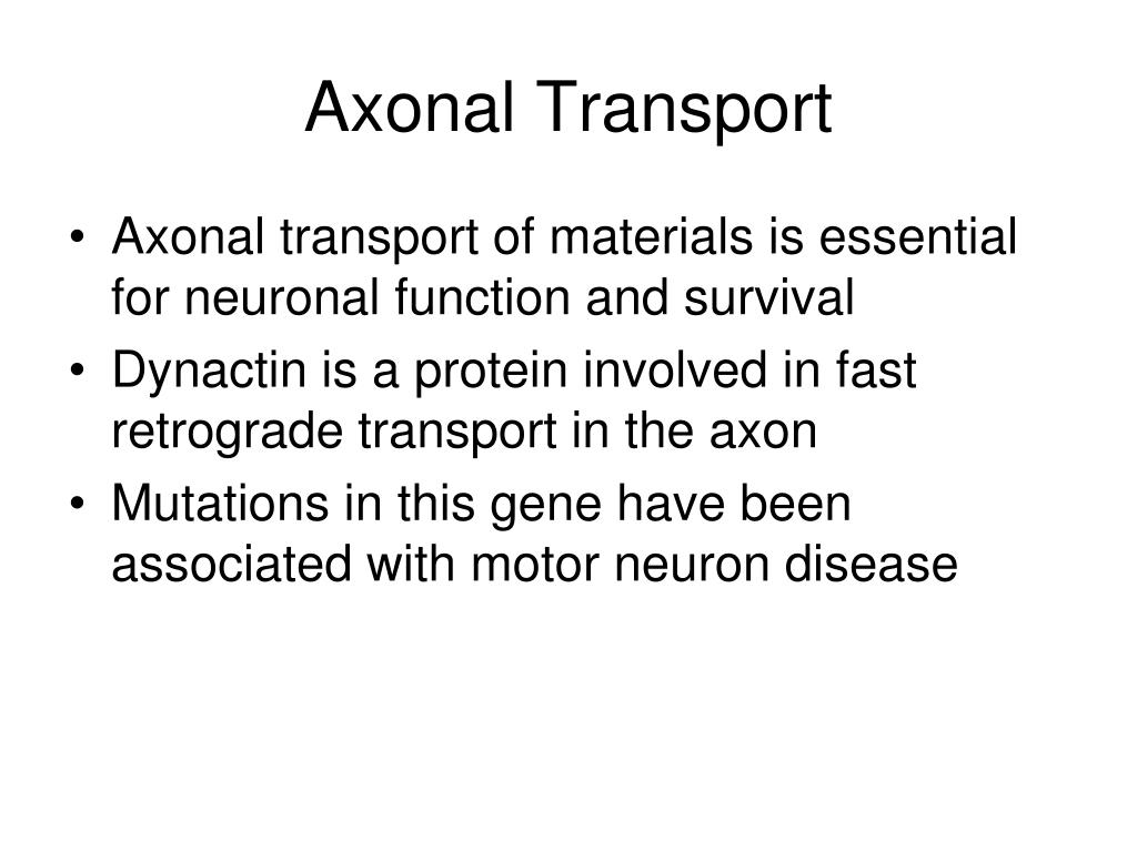 PPT - Molecular Biology and Genetics of Amyotrophic Lateral Sclerosis ...