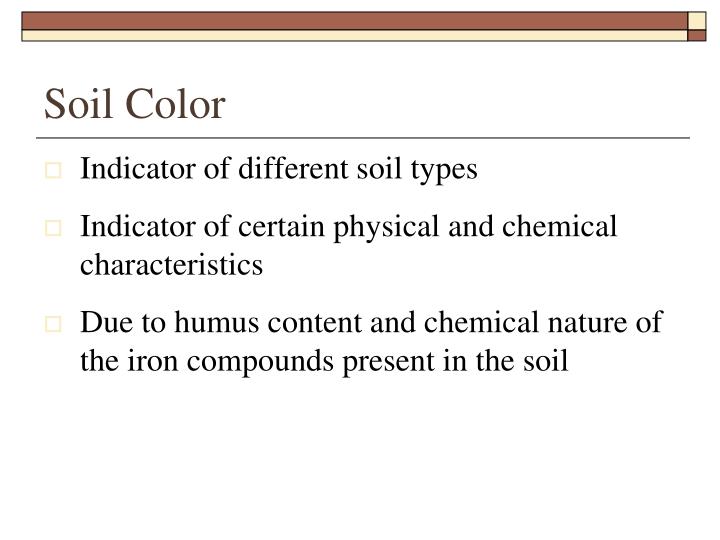 PPT - Soil Types and Textures PowerPoint Presentation - ID:3149919