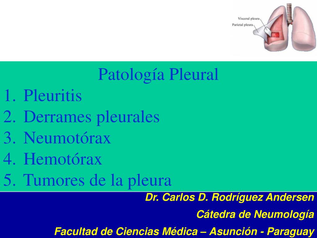 PPT - Patología Pleural Pleuritis Derrames pleurales Neumotórax ...
