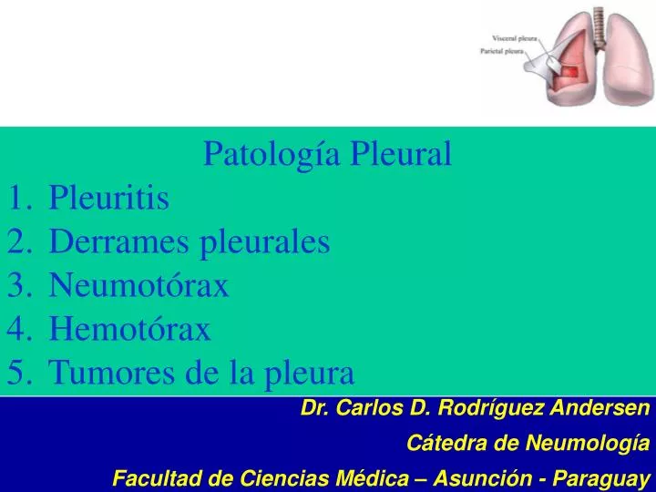 PPT - Patología Pleural Pleuritis Derrames pleurales Neumotórax ...