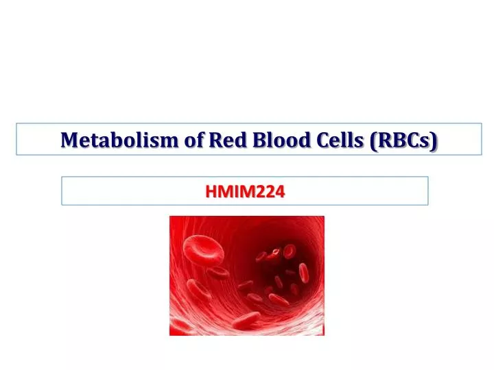 PPT - Metabolism of Red Blood Cells (RBCs) PowerPoint Presentation ...