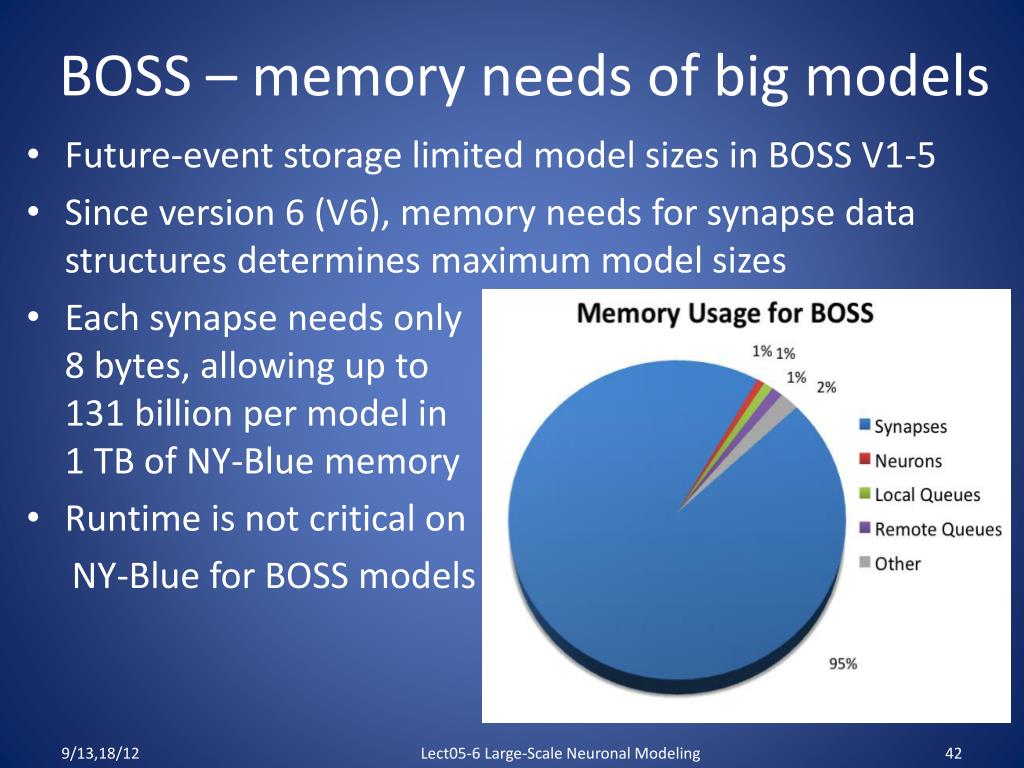 Ppt Cse511 Brain And Memory Modeling Lect05 6 Large Scale Neuronal Structure Modeling