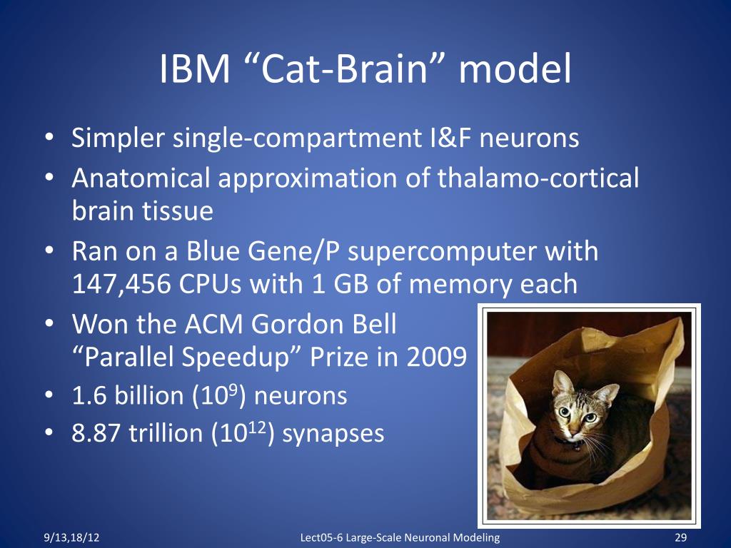 Ppt Cse511 Brain And Memory Modeling Lect05 6 Large Scale Neuronal Structure Modeling 9160