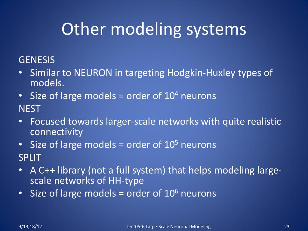 Ppt Cse511 Brain And Memory Modeling Lect05 6 Large Scale Neuronal Structure Modeling 2224