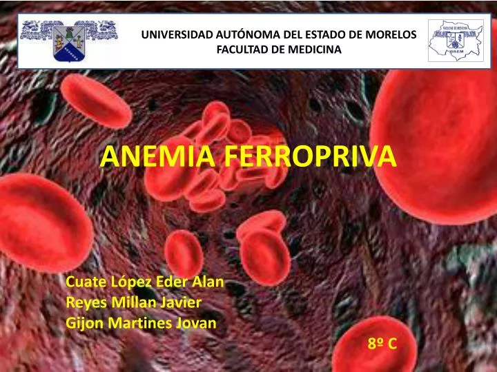PPT - ANEMIA FERROPRIVA PowerPoint Presentation, free download - ID:3152078