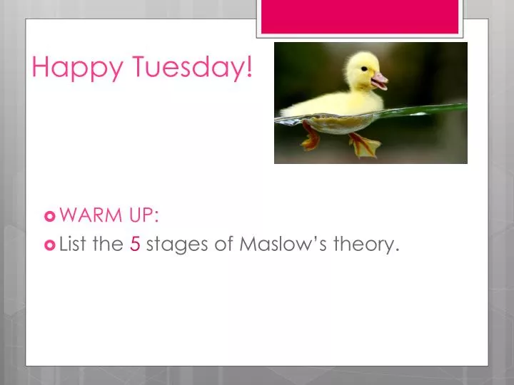 PPT - Happy Tuesday! PowerPoint Presentation, free download - ID:3152616