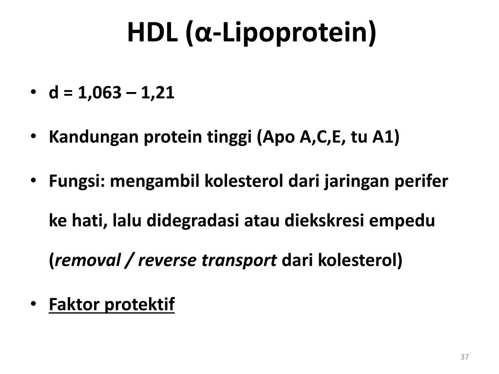 PPT - PEMERIKSAAN LABORATORIUM GANGGUAN METABOLISME LEMAK PowerPoint ...