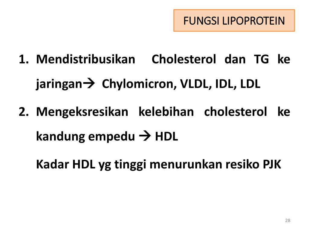PPT - PEMERIKSAAN LABORATORIUM GANGGUAN METABOLISME LEMAK PowerPoint ...