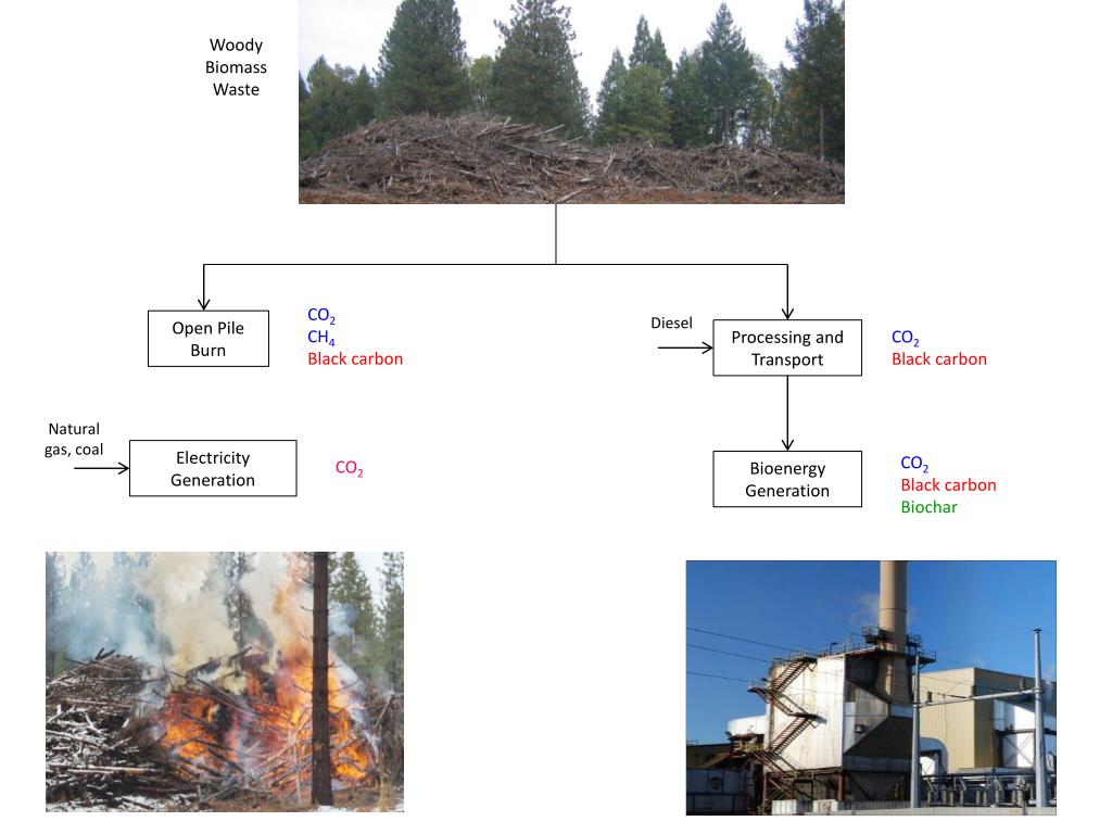 PPT - Woody Biomass Waste PowerPoint Presentation, free download - ID ...
