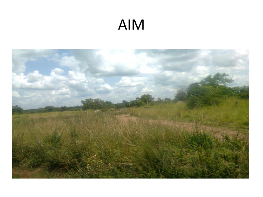 PPT - BYAMAH MUTAMBA, JAMES OKELLO,JANET NAKIGUDDE,SEGGANE MUSISI ...