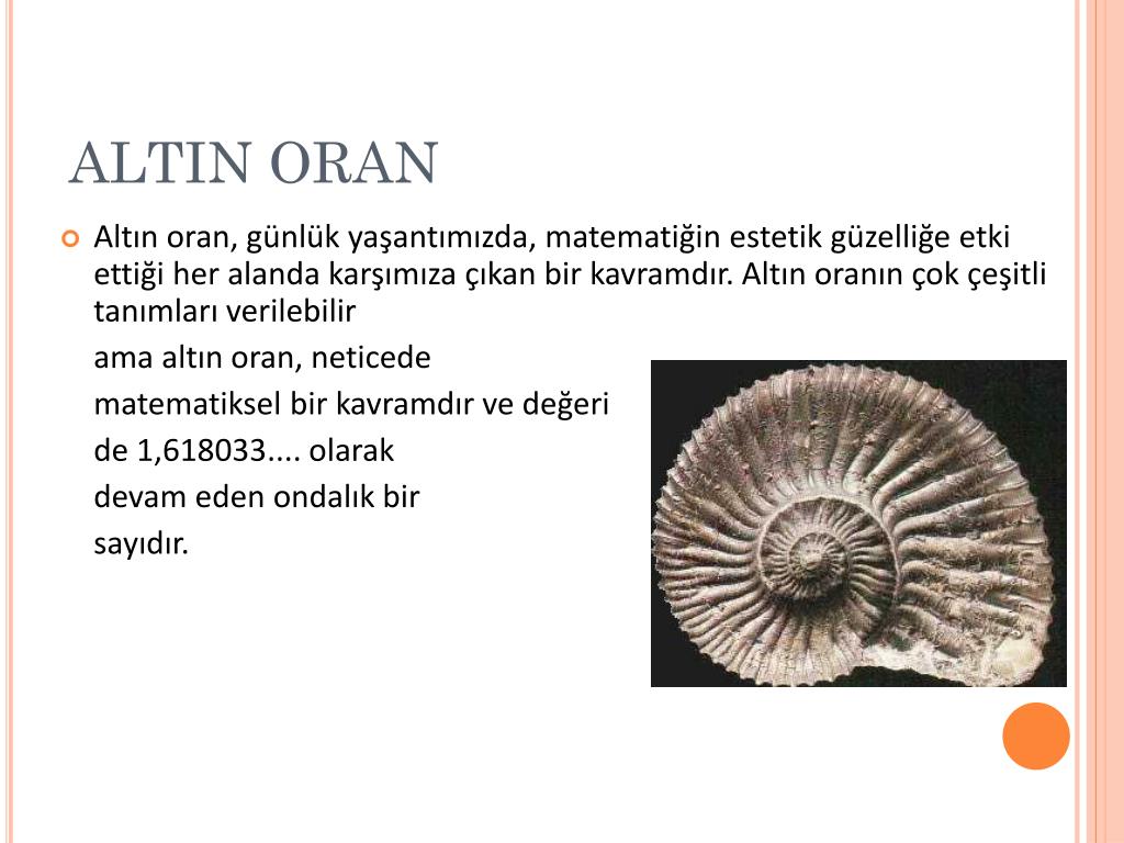 PPT - Fotoğraf ve Sinemada Kompozisyon: “Altın Oran ve Fibonacci Dizimi ...