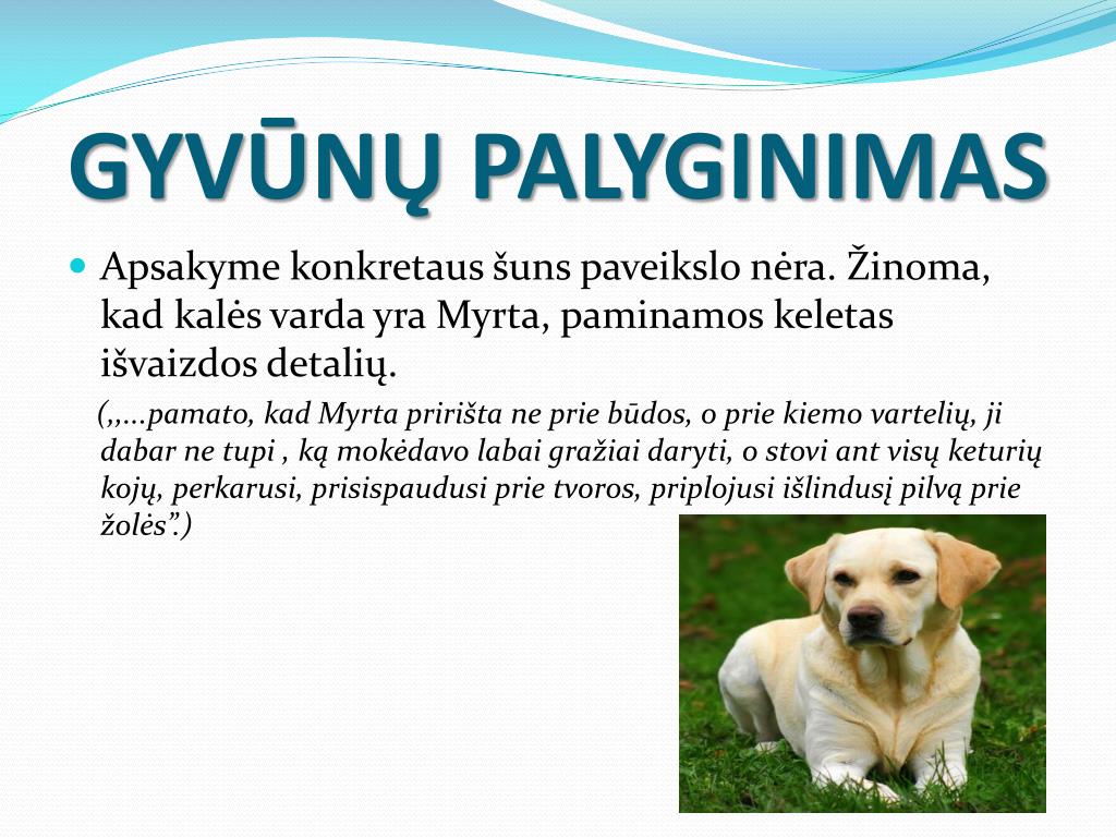 PPT - J.BILIŪNO ,,KLIUDŽIAU” IR J.APUČIO ,,ŠUNELIS ALKSNIO VIRŠŪNĖJE ...