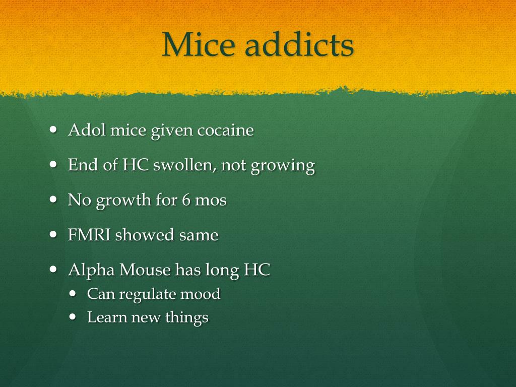 PPT - Mr. Wraga ASACS Counselor PowerPoint Presentation, free download ...