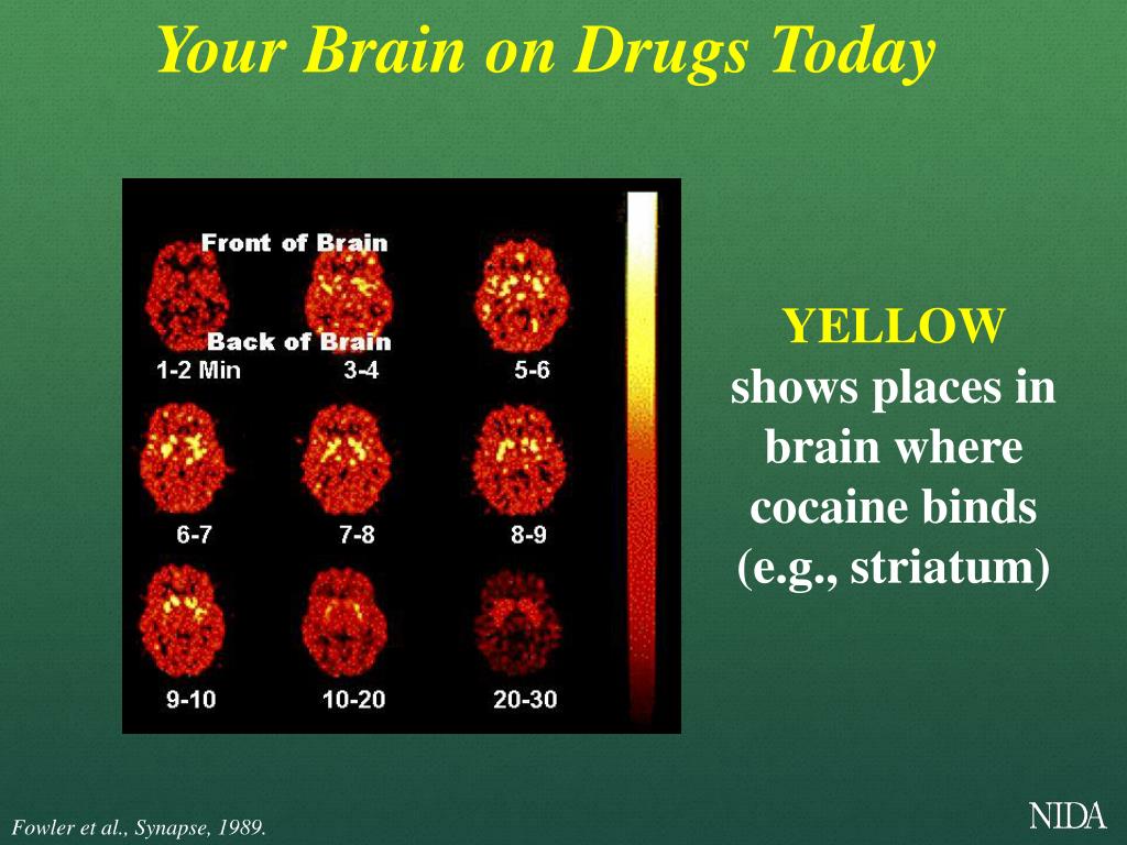 PPT - Mr. Wraga ASACS Counselor PowerPoint Presentation, free download ...