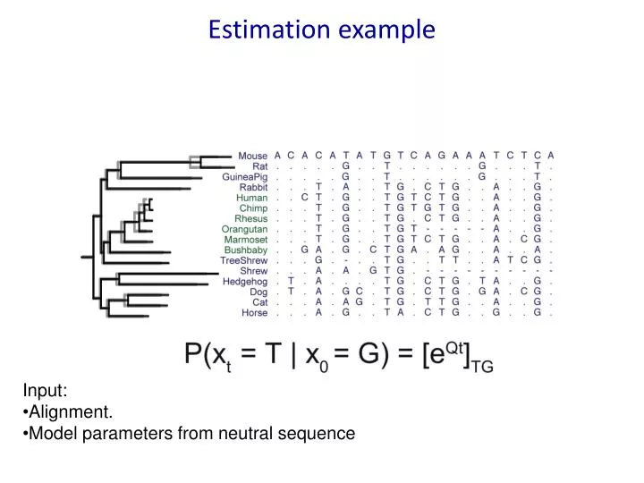 PPT - Estimation example PowerPoint Presentation, free download - ID ...