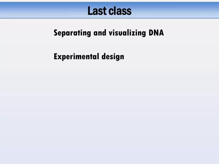 PPT - Separating and visualizing DNA PowerPoint Presentation, free ...