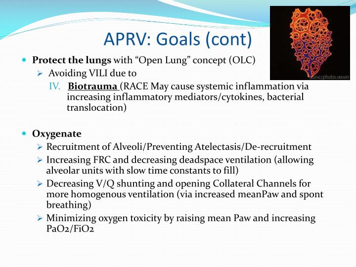 PPT - Airway Pressure Release Ventilation APRV PowerPoint Presentation ...