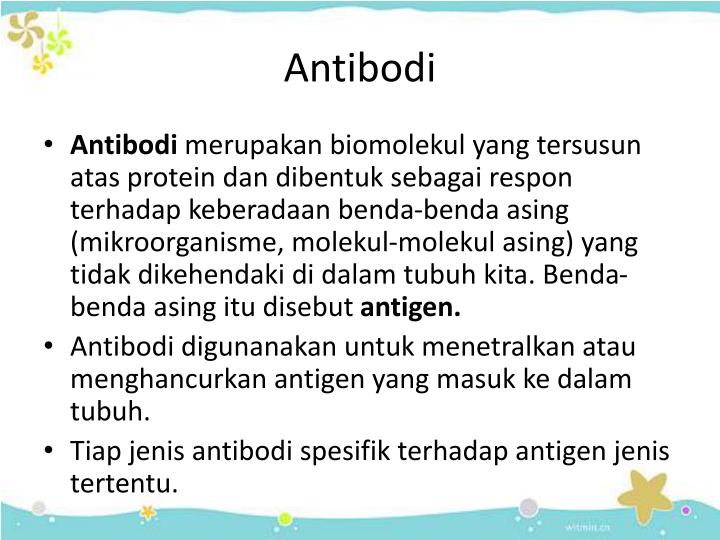 PPT - Sistem Imun (Antibodi) PowerPoint Presentation - ID:3155701