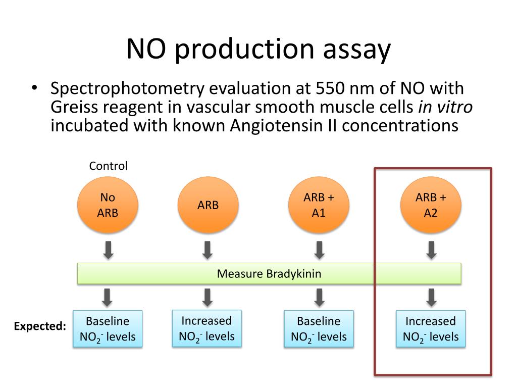 PPT - Decreasing Bradykinin Production with High-Affinity RNA Aptamers ...