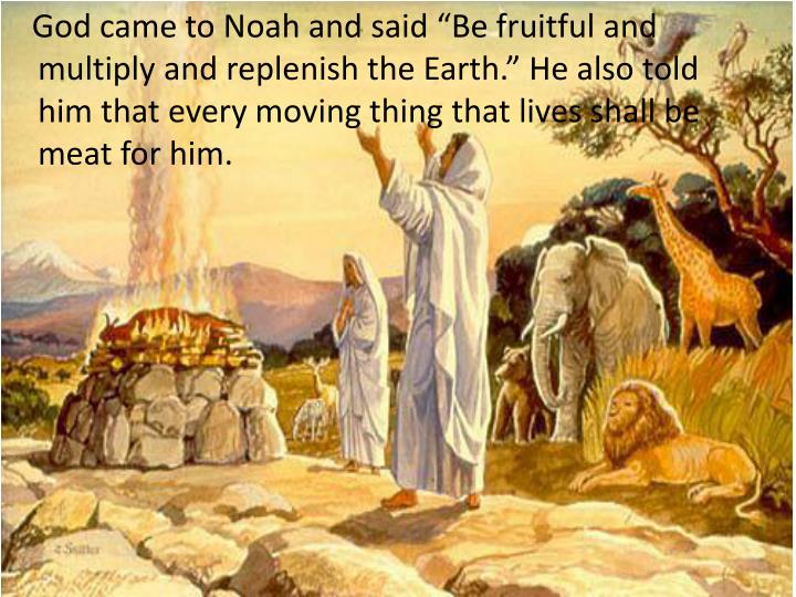PPT - Noah and the Flood PowerPoint Presentation - ID:3155748