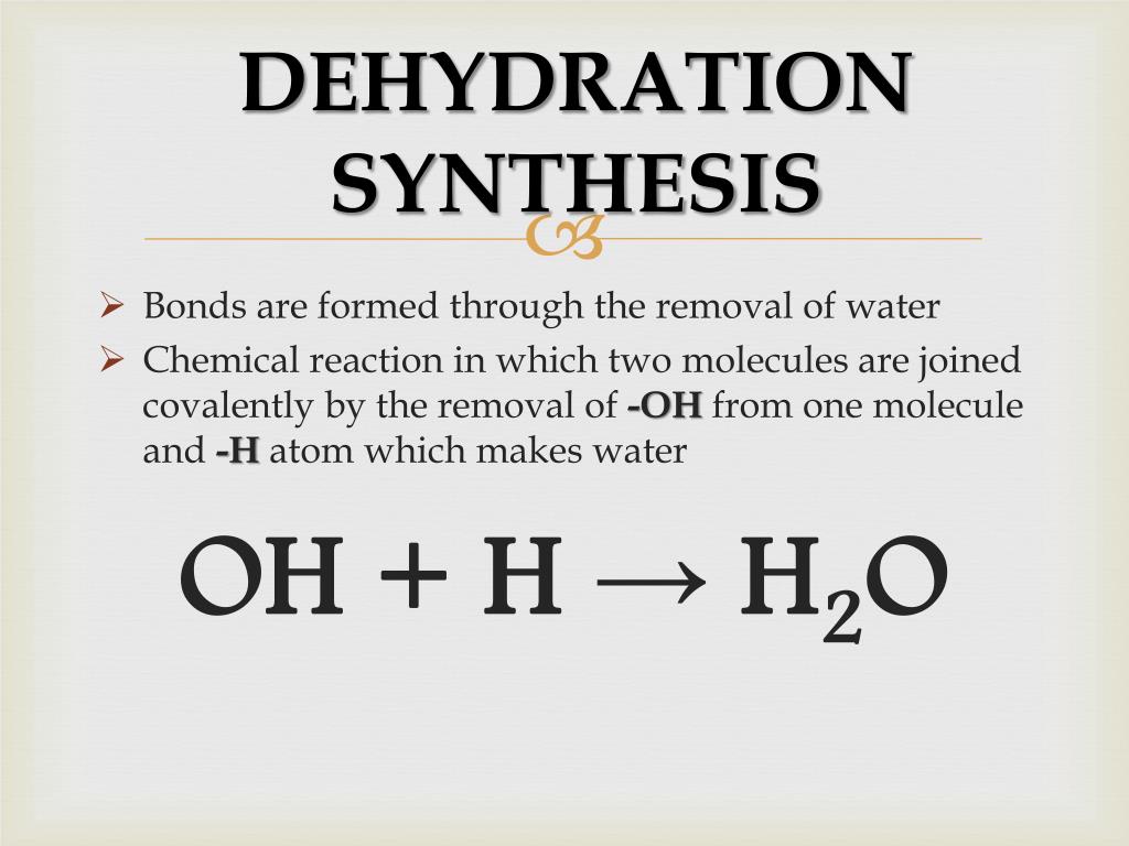 Dehydration Synthesis Animation