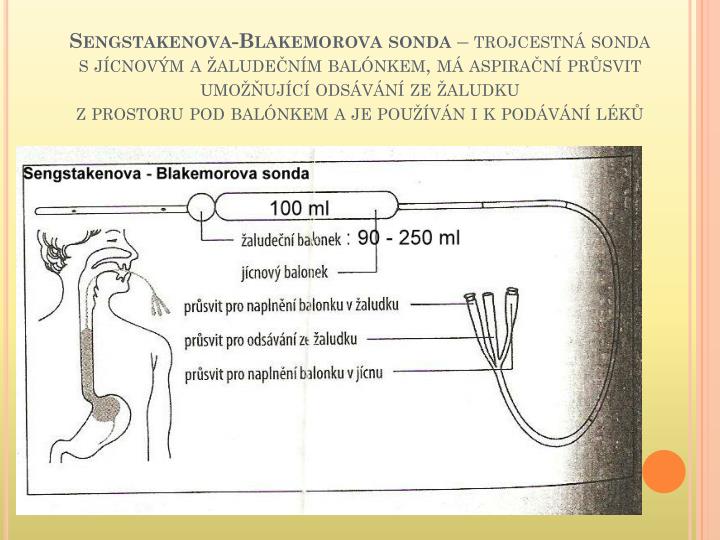 PPT - Balónková sonda PowerPoint Presentation - ID:3157328