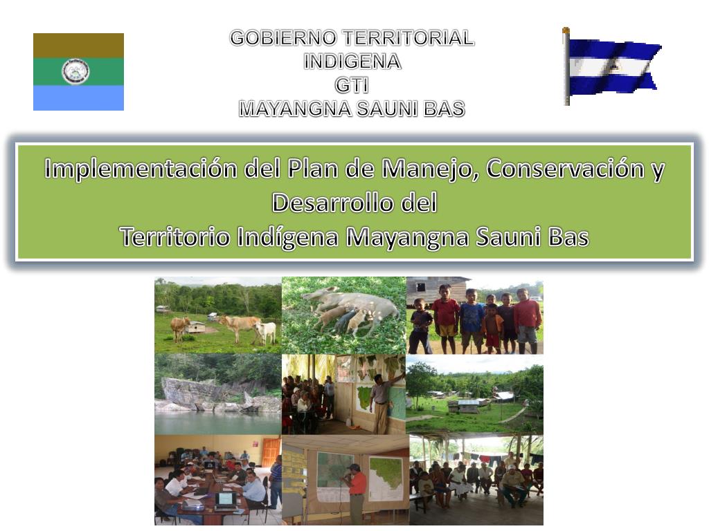 PPT - GOBIERNO TERRITORIAL INDIGENA GTI MAYANGNA SAUNI BAS PowerPoint ...