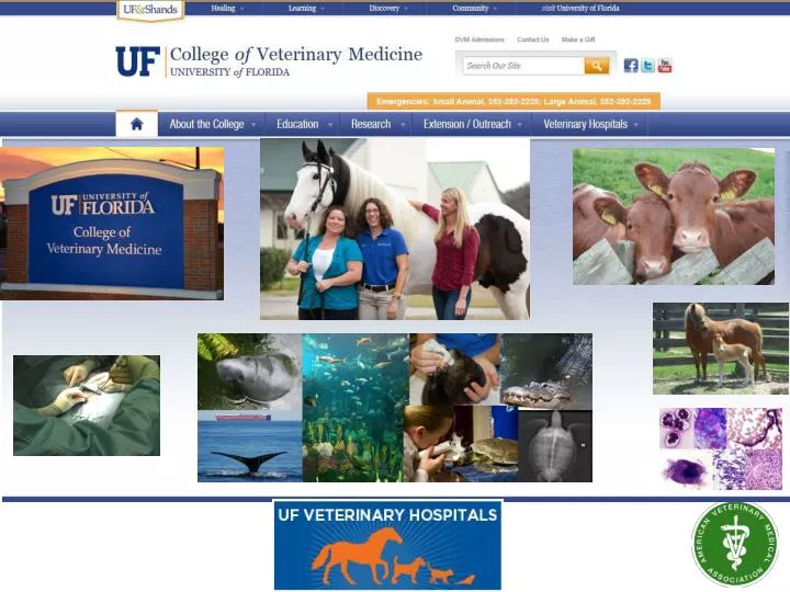 PPT - Who I am PowerPoint Presentation, free download - ID:3159575