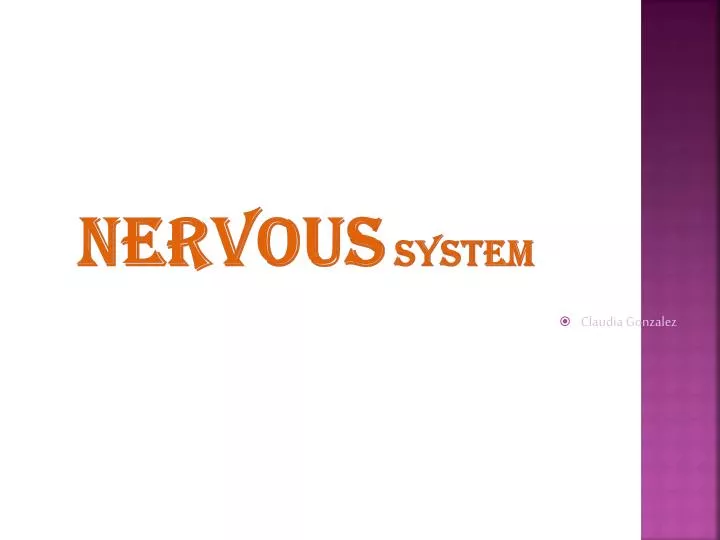 PPT - Nervous system PowerPoint Presentation, free download - ID:3162434