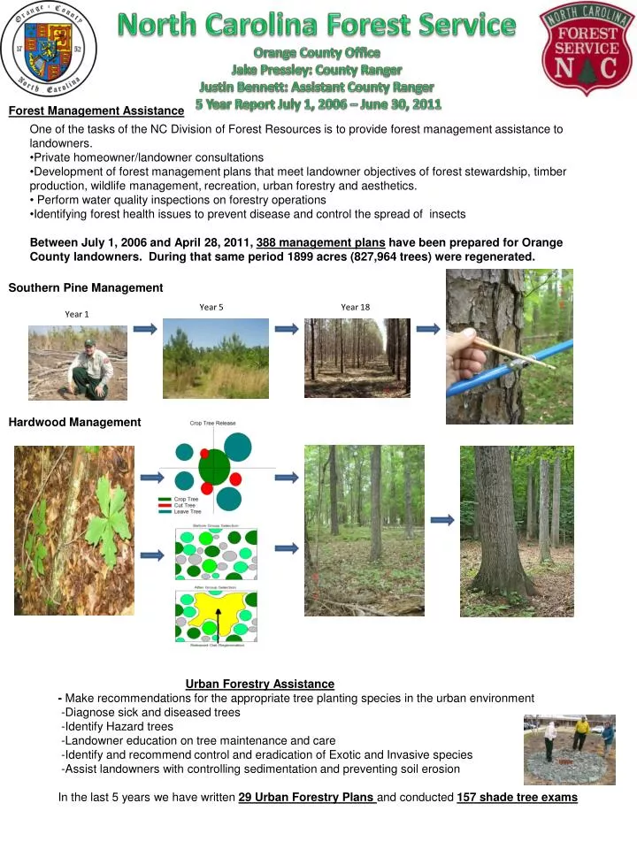 PPT - Year 1 PowerPoint Presentation, free download - ID:3162654