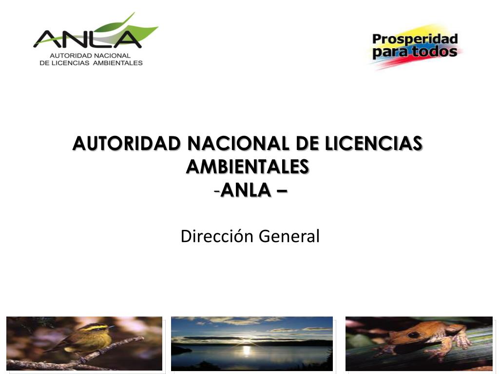 PPT - AUTORIDAD NACIONAL DE LICENCIAS AMBIENTALES ANLA – Dirección General PowerPoint ...