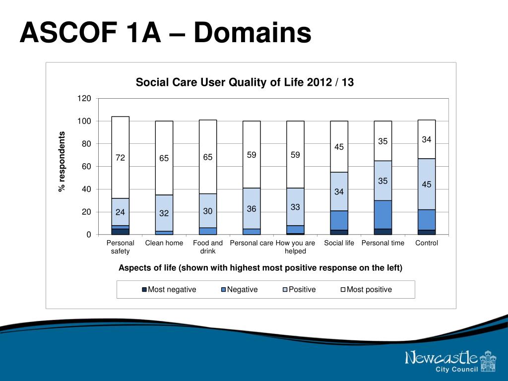PPT - Newcastle City Council Social Care User Experience Survey 2012/13 ...