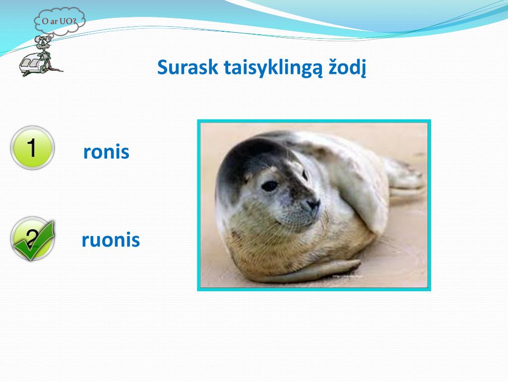 PPT - Dalykas, ugdymo sritis: Tema: Klasė: Priemonės paskirtis ...