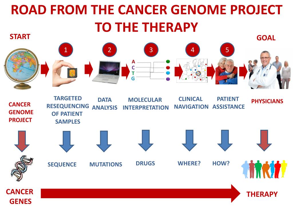 PPT - GENOMIC LANDSCAPE OF BREAST CANCER: 2012 PowerPoint Presentation ...