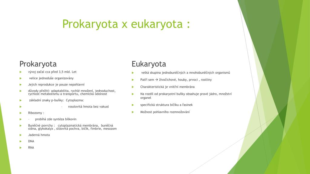 PPT - Vznik a vývoj živých soustav PowerPoint Presentation, free ...