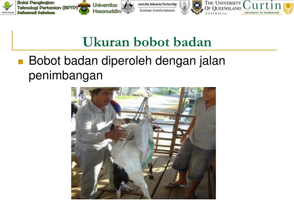 PPT - Hubungan antara lingkar dada, pajang badan, dan tinggi pundak ... PPT - Hubungan antara lingkar dada, pajang badan, dan tinggi pundak ...