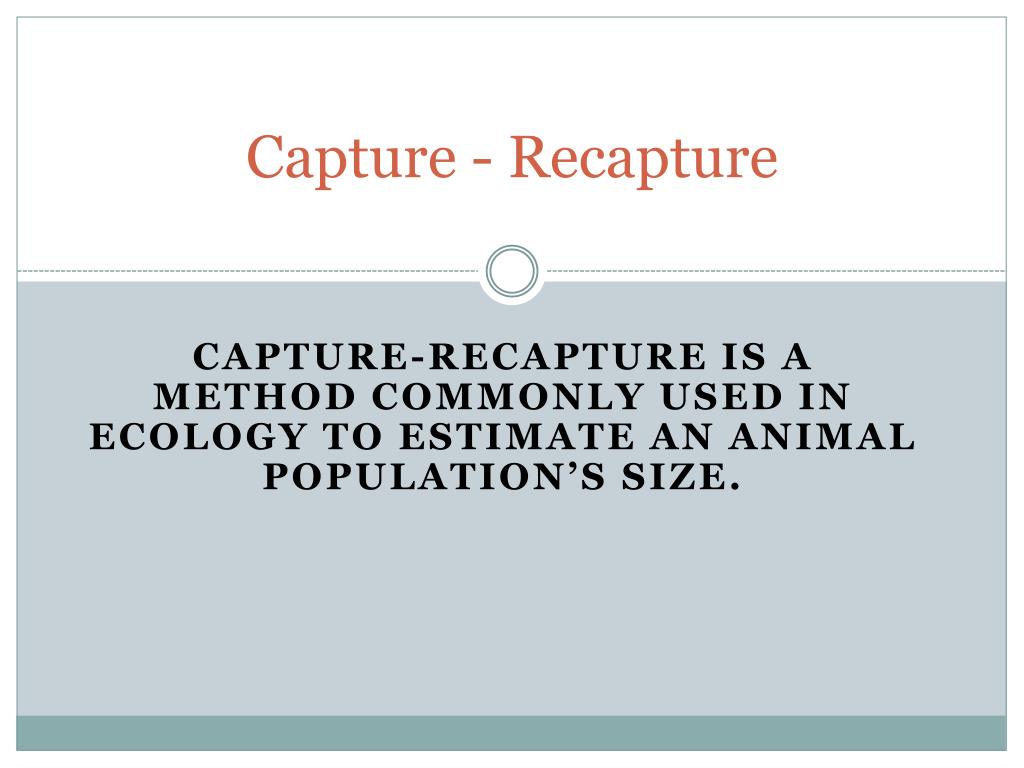 Ppt Capture Recapture Powerpoint Presentation Free Download Id