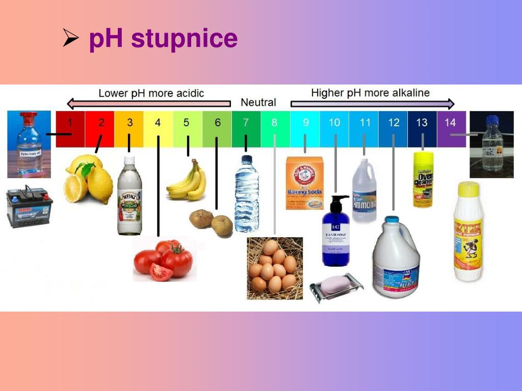 PPT - Kyselost PowerPoint Presentation, free download - ID:3172065