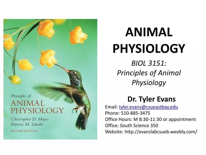 PPT - BIOL 3151: Principles of Animal Physiology PowerPoint ...