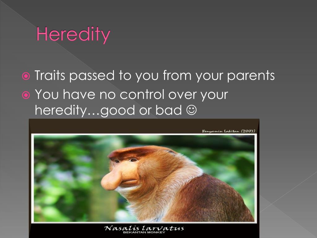 PPT - Ch 1:Living a Healthy Life PowerPoint Presentation, free download ...