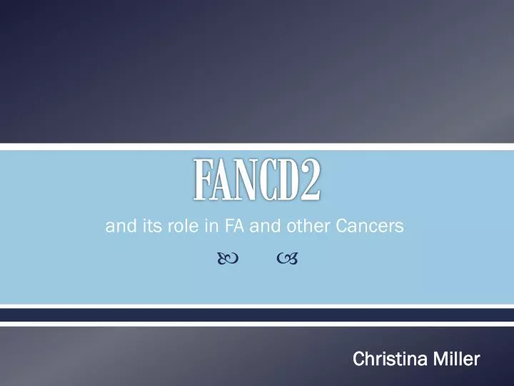 PPT - FANCD2 PowerPoint Presentation, free download - ID:3173700